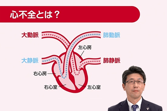 心臓のSOSについて | 心臓のSOS